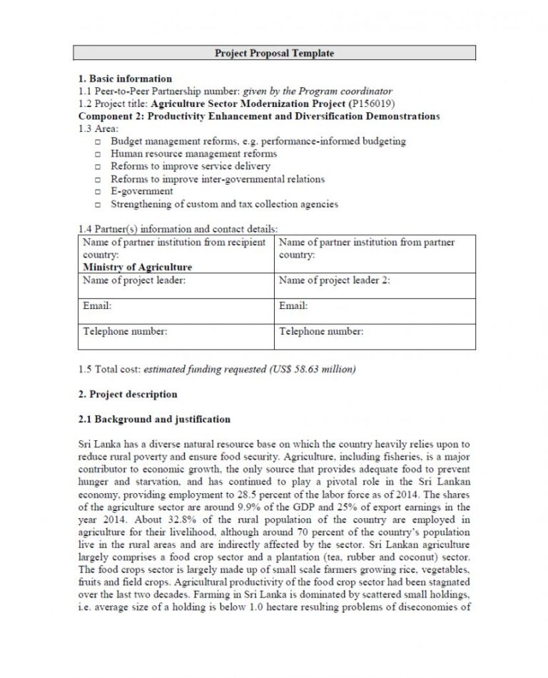 √ Governmental Project Proposal Template