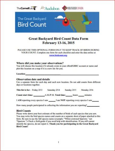 √ Printable Birds Inventory Template