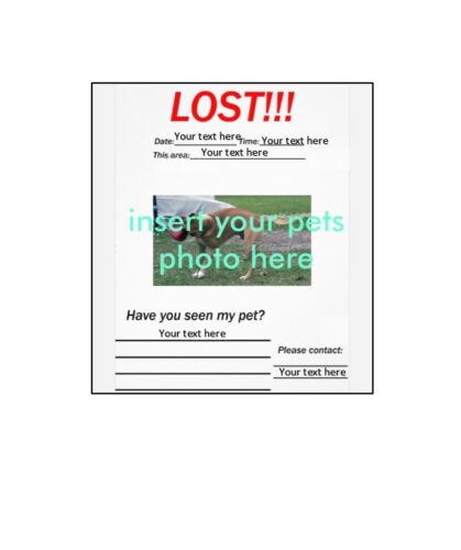 √ Lost Pet Flyer Template (Word)