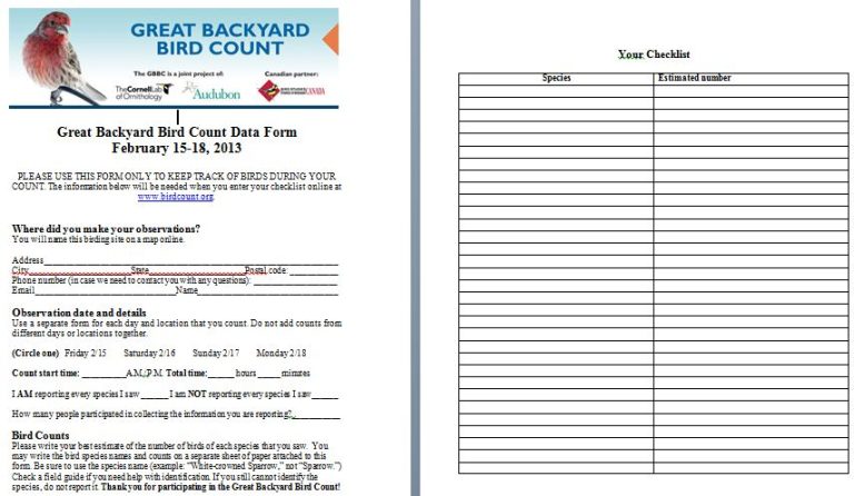 √ Printable Birds Inventory Template