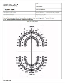 √ Free Printable Dental Chart Template
