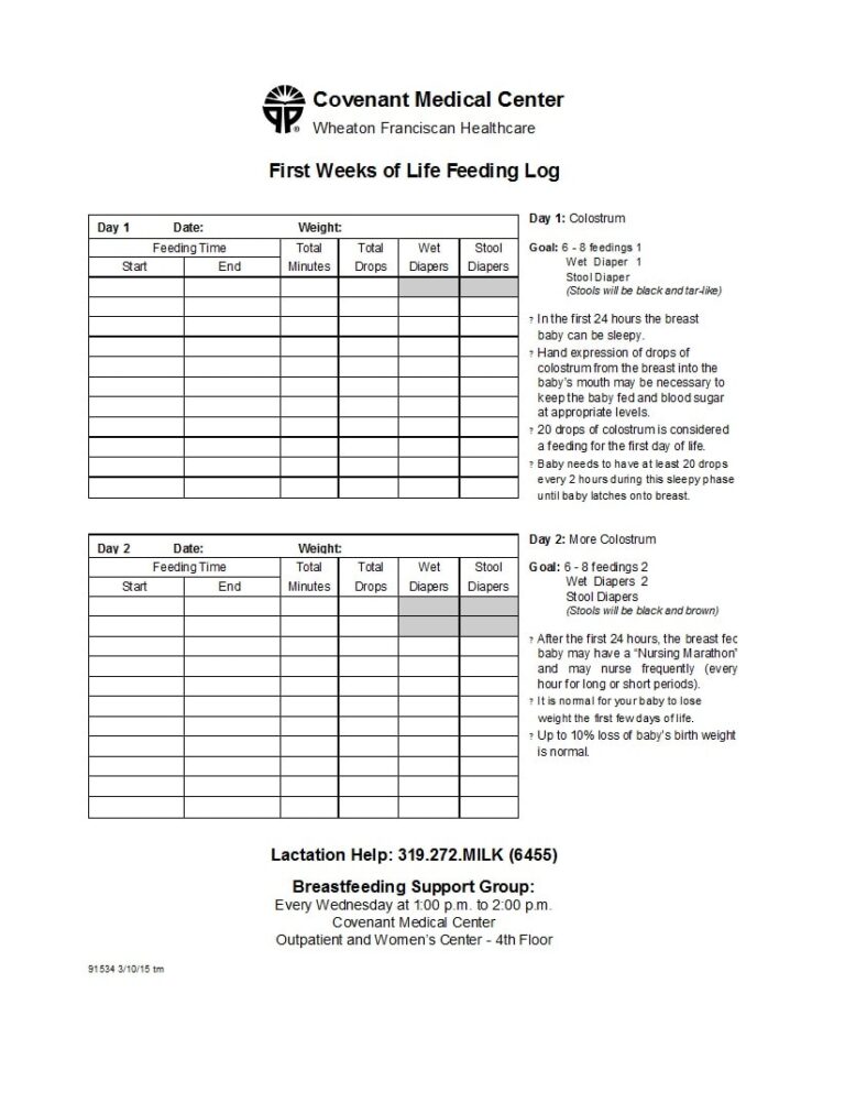 √ Free Baby Feeding Chart Template (Word)