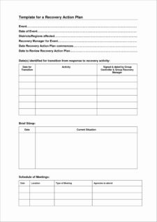 √ Free Printable Recovery Action Plan Template