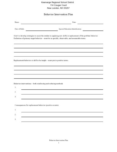 √ Printable Behavior Action Plan Template