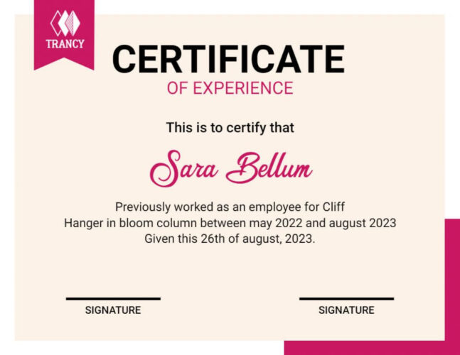 Work Experience Certificate Format: A Complete Guide | Templateral